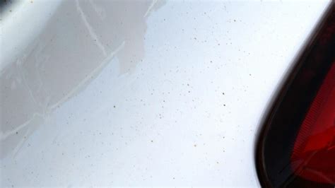 Yellow Spots On Car Australia At Steven Broadnax Blog