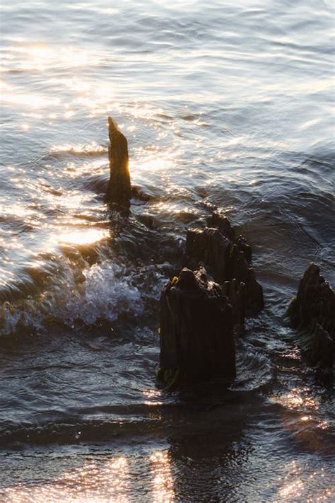 고요한 해안 풍경 황혼 무렵 햇살이 비치는 파도 · 무료 스톡 사진