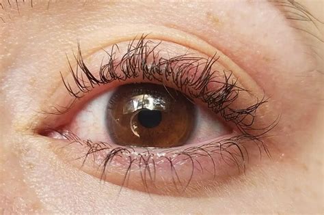 How To Curl Your Eyelashes Without An Eyelash Curler 5 Ways