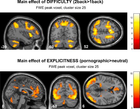 Fmri Main Results Depicted Are The Main Effects Of Difficulty Showing Download Scientific