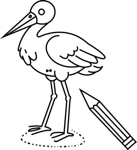 Щъркел Картинка за оцветяване Зуми Зим