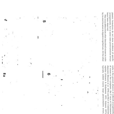 Fig S To 8 Carcinus Mediterraneus Fig 5 Paracrystalline Array In Download Scientific
