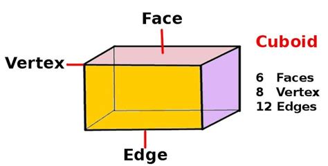 Properties Of Cuboid