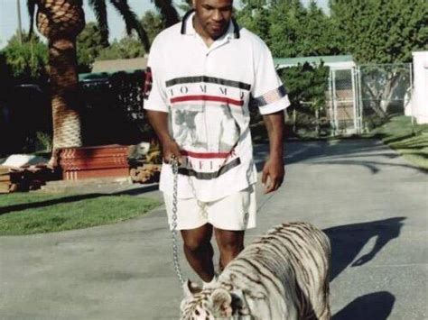 مايك تايسون 61162 شبكة ابو نواف