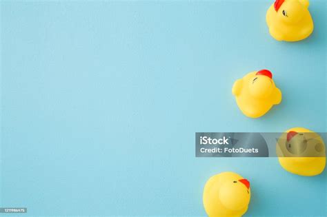 노란색 고무 오리 하향하 보기 연한 파란색 배경에 텍스트에 대 한 빈 장소입니다 파스텔 색상입니다 개념에 대한 스톡 사진 및 기타 이미지 Istock