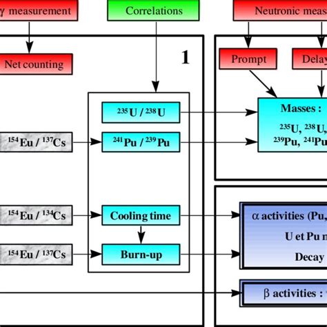 Three Measurement Interpretation Phases Download Scientific Diagram