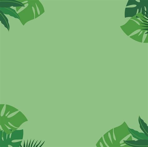 зеленый фон с пальмовыми листьями и местом для текста Премиум вектор