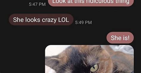 Conversations With My Daughter Album On Imgur