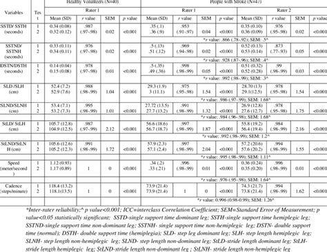 spatial temporal gait parameters and reliability of walkmeter of