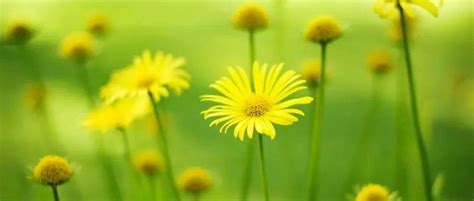 印花税法7月1日施行，快来看~ 凭证 纳税人 金额