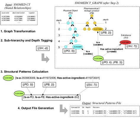 Steps Followed To Tag Snomed Ct Concepts By Top Level Concept Depth Download Scientific