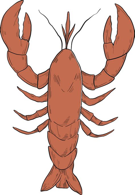 ロブスターのイラスト透明3
