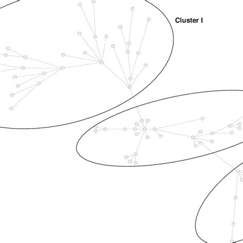 Minimum Spanning Tree Mstree Generated From The Analysis Of 29 Avian Download Scientific