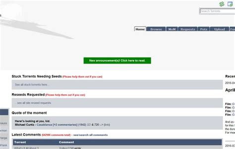 Btdigg Alternatives Torrent Search Engines Similar Apps Page Alternativeto