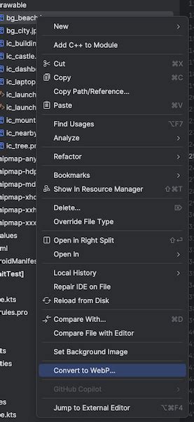 Webp Image Format On Android Domen Lanisnik