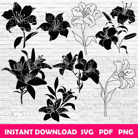 Lily Svg Lily Cricut Lily Clipart Lily Vector Lily Flower Svg Lily Silhouette Lily Svg Cut File