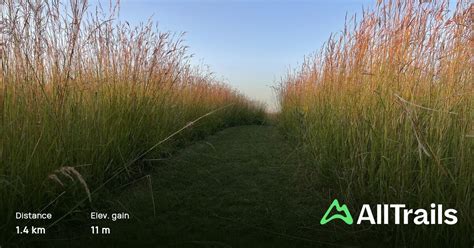 Bobolink Loop Wisconsin 51 Reviews Map Alltrails Bobolink Loop Wisconsin 51 Reviews Map Alltrails