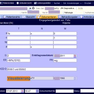 Screenshot Of EPR Form For Pathology Documentation Download Scientific Diagram