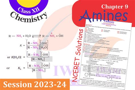 Amines Ncert Solutions