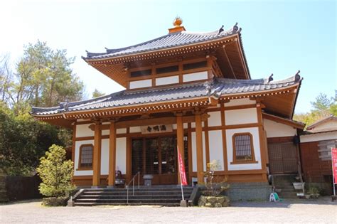雲仙のミヤマキリシマ群落観光スポット島原半島公式観光サイト