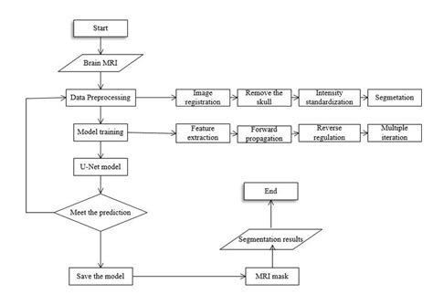 Deep Learning Based Glioma Segmentation Algorithm Flow Chart Download