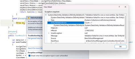 Entity Validation Error Message