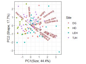 PCA Applied Multivariate Statistics In R