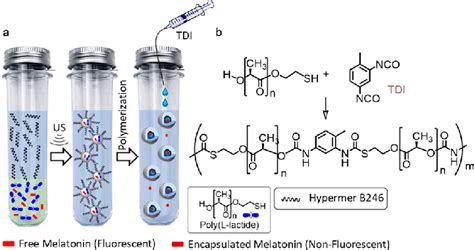 A Cartoon Representation Of An Interfacial Polymerization Reaction