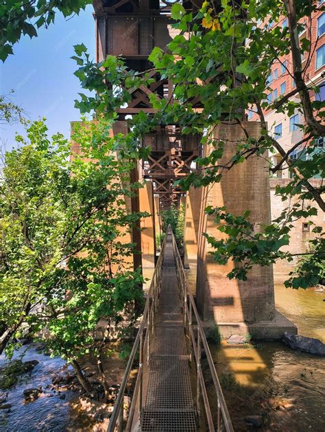 Premium Photo Old Pipline Turned Into Trail Amidst Overgrown Trees