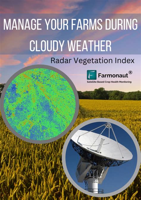 Ndvi Vs Ndwi Key Indices For Precision Farming And Insurance Insights