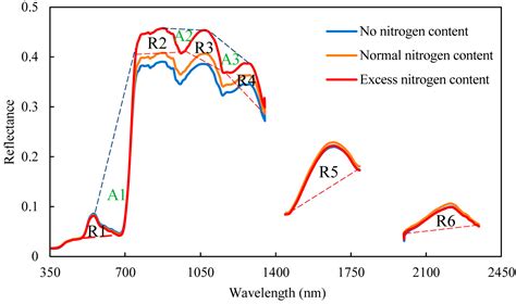 Hyperspectral Based Estimation Of Leaf Nitrogen Content In Corn Using