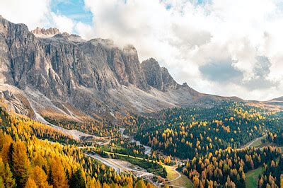 Tree Jigsaw Puzzles Online JSPuzzles Com Tree Jigsaw Puzzles Online JSPuzzles Com