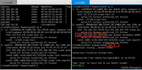 Mysql双主搭建keepalived高可用mysql双主复制keepalived Csdn博客
