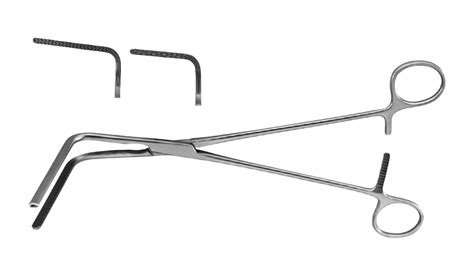 Vaginal Forceps Etra Enterprises