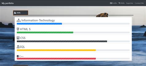 Personal Portfolio Personal Portfolio