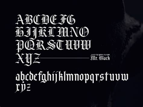 미스터블랙 레귤러 상상토끼 폰틀리에