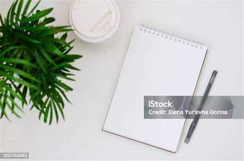 창조적 인 과정 흰색 배경에 나선형 노트북 커피 홈 식물의 빈 시트 0명에 대한 스톡 사진 및 기타 이미지 0명 개념 계획 Istock