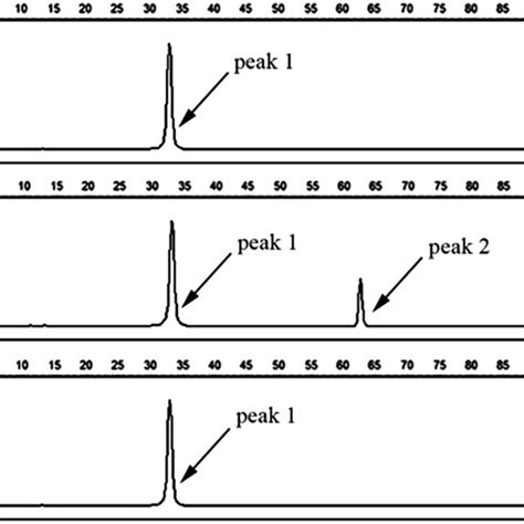 Electropherograms For The Detection Of Methylated And Unmethylated