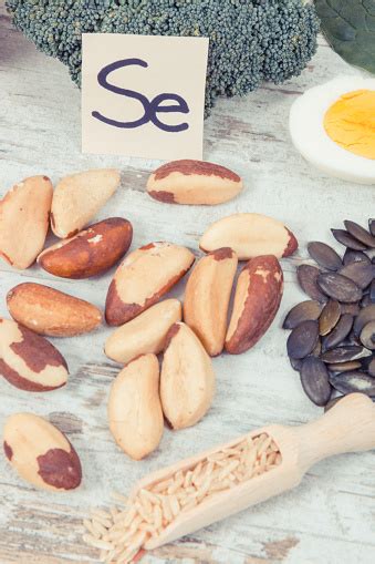 빈티지 사진 셀레늄 비타민 식이 섬유 건강 한 영양 개념을 포함 하는 음식 0명에 대한 스톡 사진 및 기타 이미지 0명 건강한 생활방식 건강한 식생활 Istock