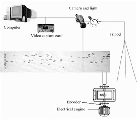 Experimental Test System For Determination Of Seed Distribution