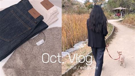 Vlog 직장인 브이로그 사무직 17년차 출근해서 일하고 퇴근하다보니 어느덧 주말 데일리룩 즐거운 언박싱블루브릭