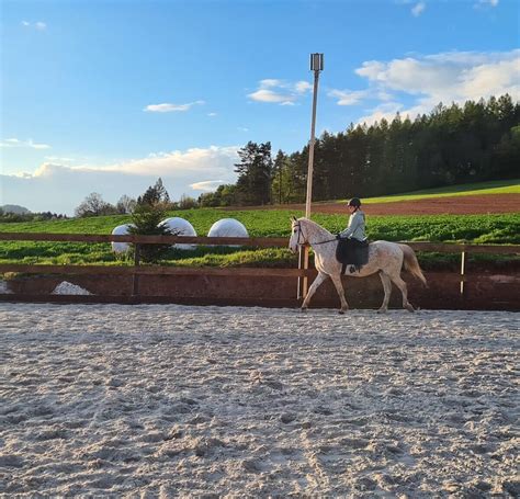 Riding School U Pinkasů Dolni Dobrouc Czech Republic Hours Address Tripadvisor