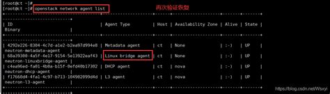 Openstack Network Agent List 缺少 Linux Bridge Agentfailed To Start