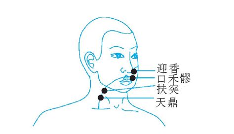 17 天鼎 针灸入门 医学