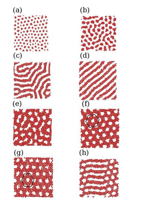 Aggregates Morphologies Observed In Distinct Regions A Small Download Scientific Diagram