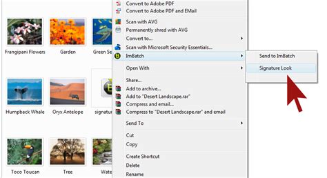 Imbatch Context Menu Editor High Motion Software