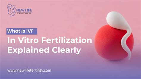 Lupron And Ivf Benefits Success Rates And Protocol Guide