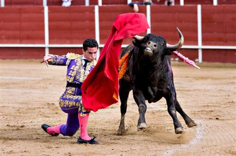 Has Bull Fighting Been Banned In Mexico City