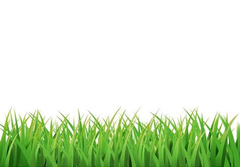 Premium Vector Easter Grass Border Vector Design Isolated On White