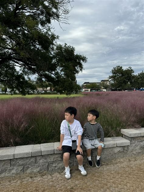 아이와 경주여행1 첨성대 핑크뮬리 황리단길 동궁과 월지 네이버 블로그